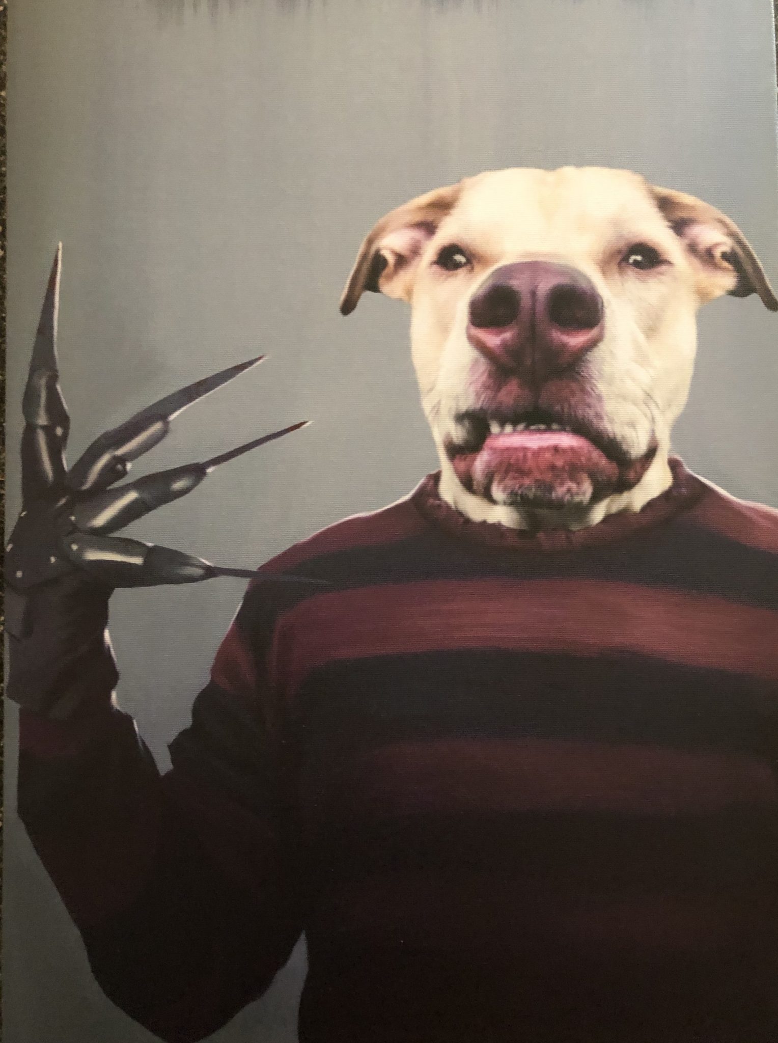 Fan Submitted Artwork - Robert Englund